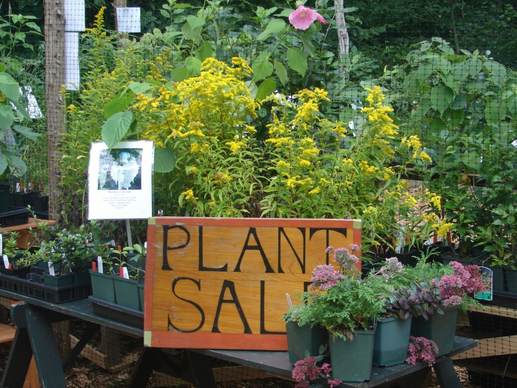 The Polly Hill Arboretum » Blog Archive » Fall Plant Sale