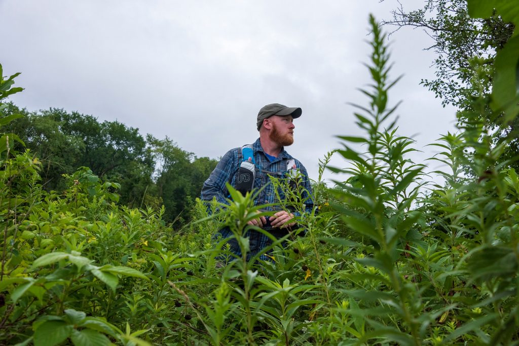 The Polly Hill Arboretum » Blog Archive » Plant Exploration: The Value ...