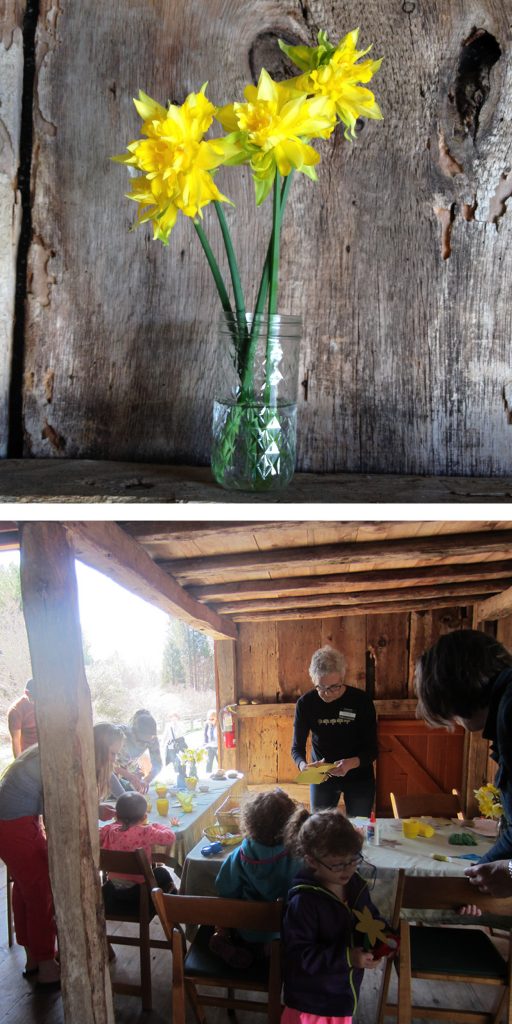 The Polly Hill Arboretum » Blog Archive » Daffodil Day & Spring Celebration